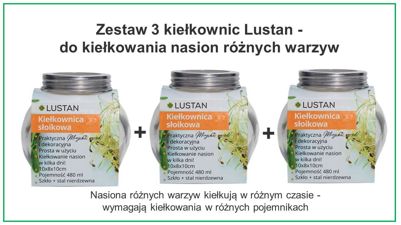 Kiełkowanie nasion warzyw w warunkach domowych - poradnik - Narzędzia i ...