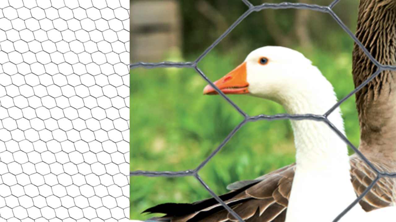 Siatka metalowa heksagonalna - do grodzenia, odgradzania, pod pnącza - Grodzenie i odgradzanie ...